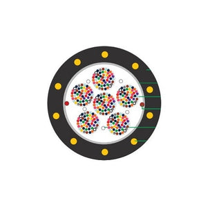 STL Celesta SM (G657A2) 96-576F Intelligently Bonded Ribbon OFC - 2Km ...